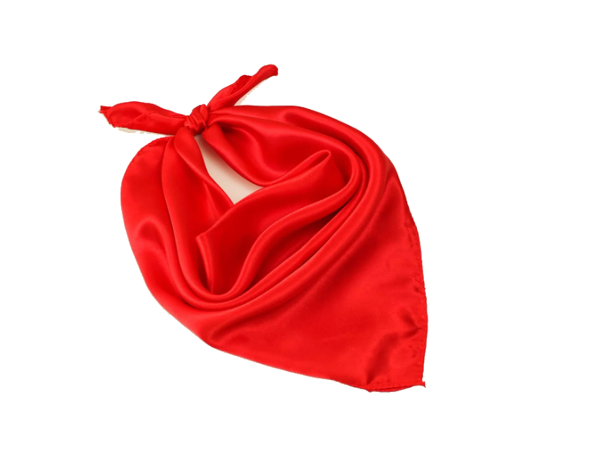 pañuelo de cuello triangular - Market Corporativo de Chile